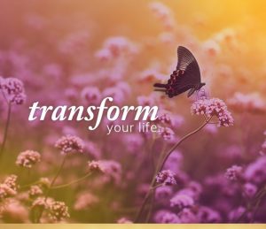 Life Transformation Session | Leslie Fonteyne